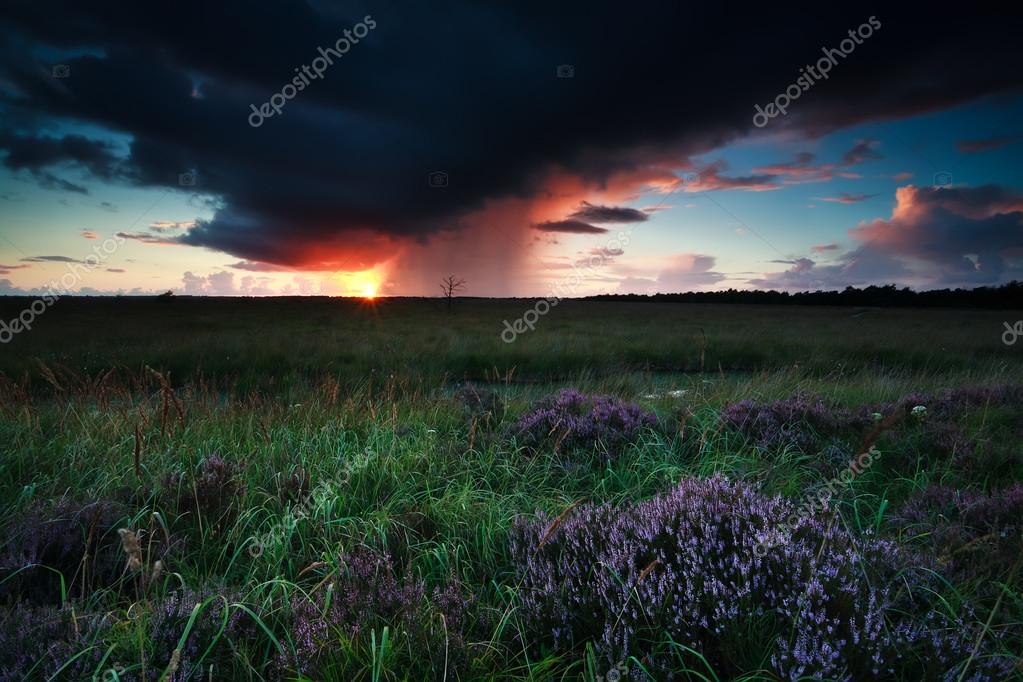 Coming dramatic storm during sunset — Stock Photo © O.Rohulya #33670141