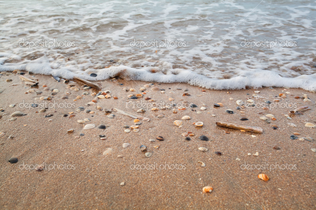 zee golven op zand strand met mollisk schelpen — Stockfoto © O.Rohulya ...