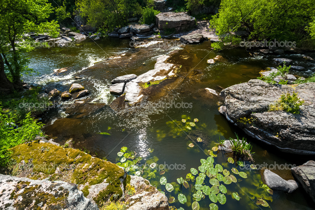 Landscape of algae growing in fast mountain river Stock Photo by ...