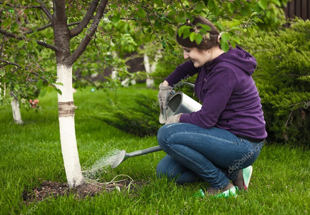 Woman watering tree at garden with watering pot — Stock Photo © Kryzhov ...