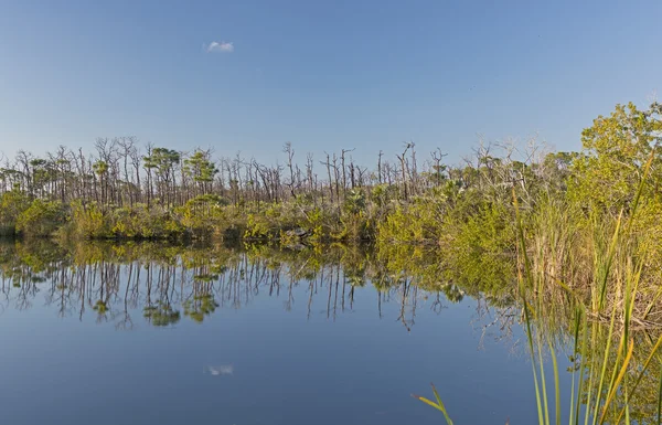 Everglades structures Stock Photos, Royalty Free Everglades structures ...