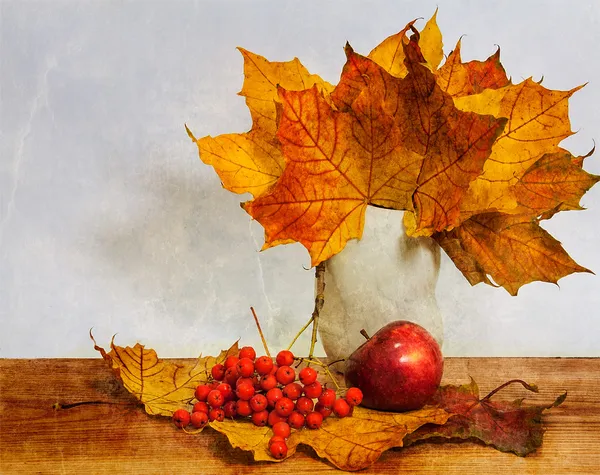 Fotos de Natureza morta, Imagens de Natureza morta sem royalties ...