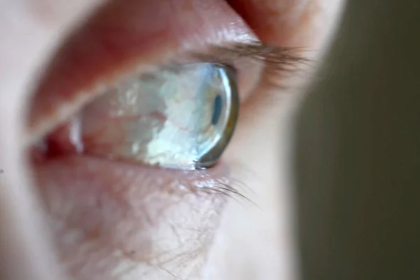 Cristallin humain images libres de droit, photos de Cristallin humain ...