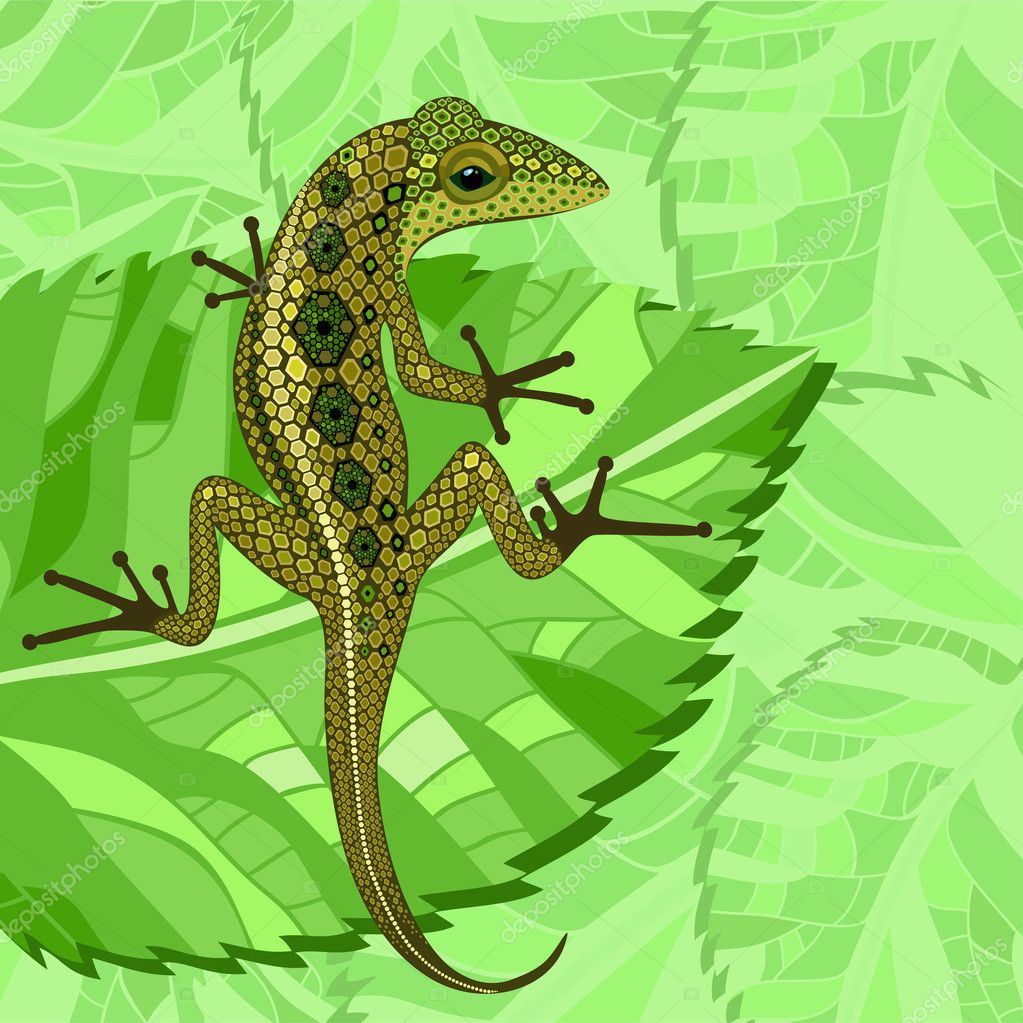 Lizard in the green — Stock Vector © kucevg #50527337