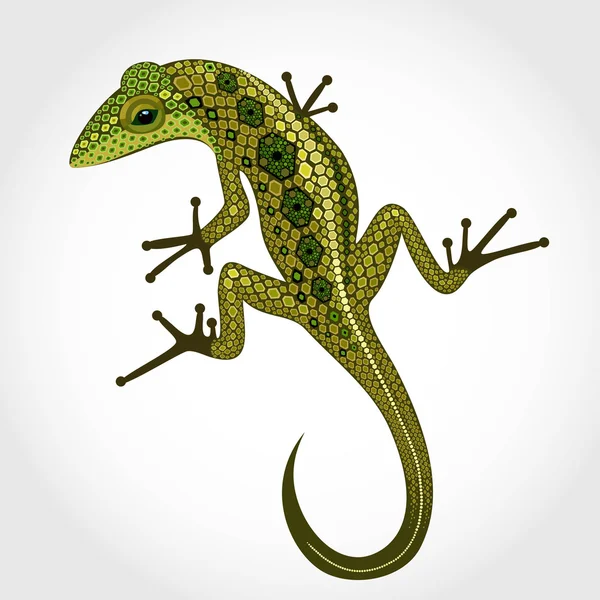 Lizard Vector Art Stock Images | Depositphotos