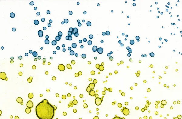 6,000,000+ imágenes de Fluorescence microscope cartoon libres de ...