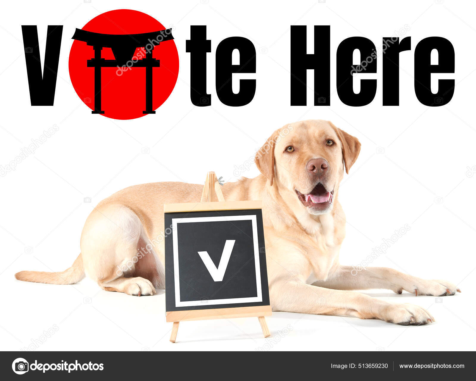 Adorable Dog Chalkboard Text Vote Here White Background Stock Photo by ...