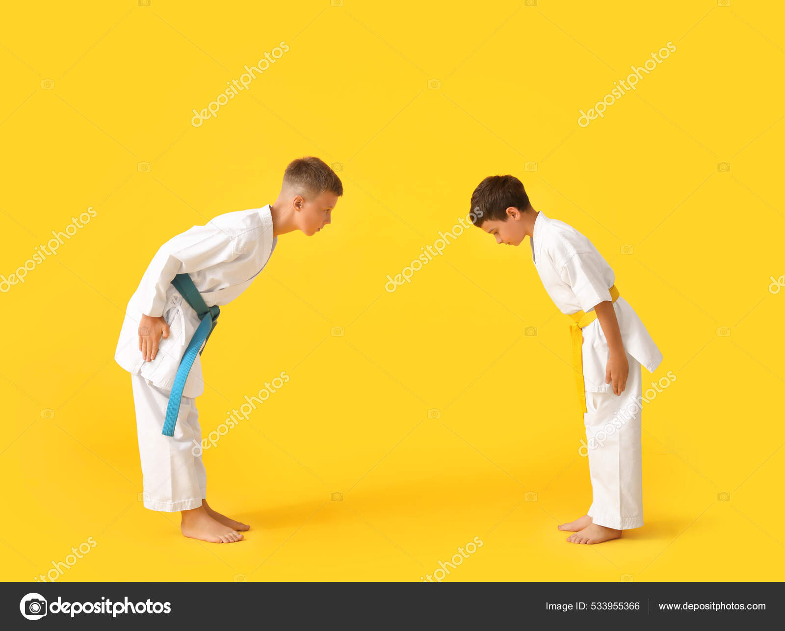 Kyokushin Karate Bow