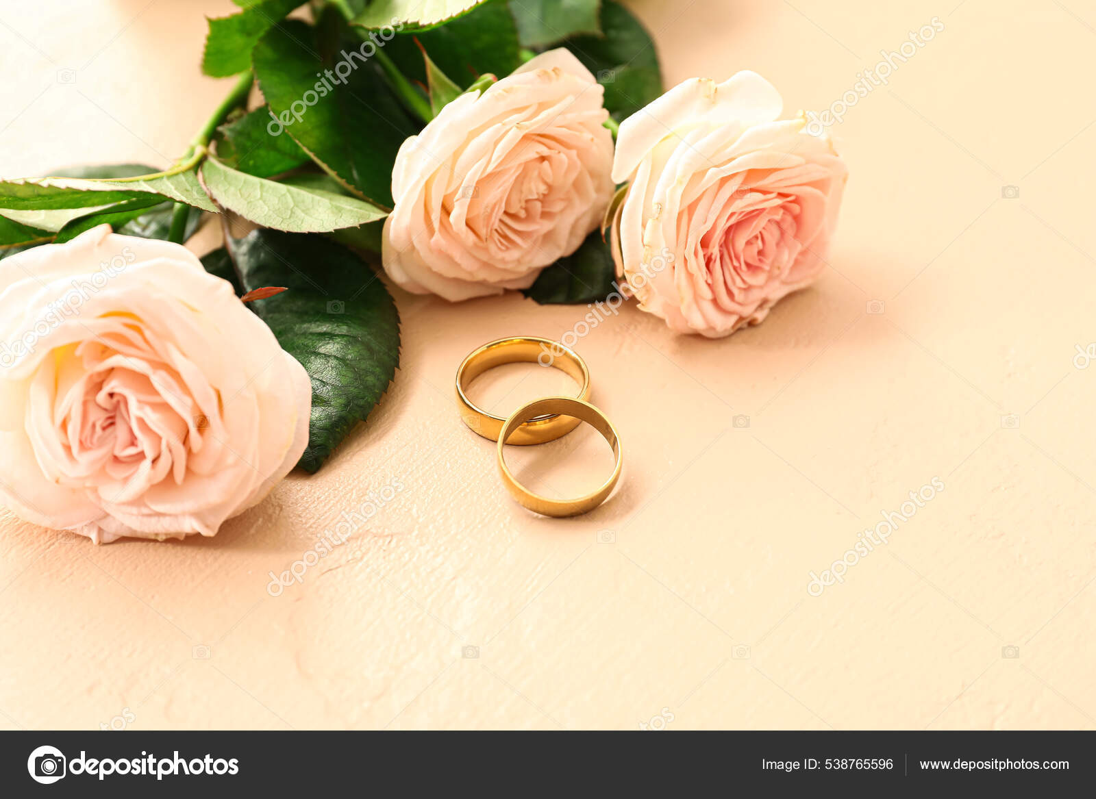 Golden Wedding Rings Beautiful Roses Beige Background Closeup — Stock ...
