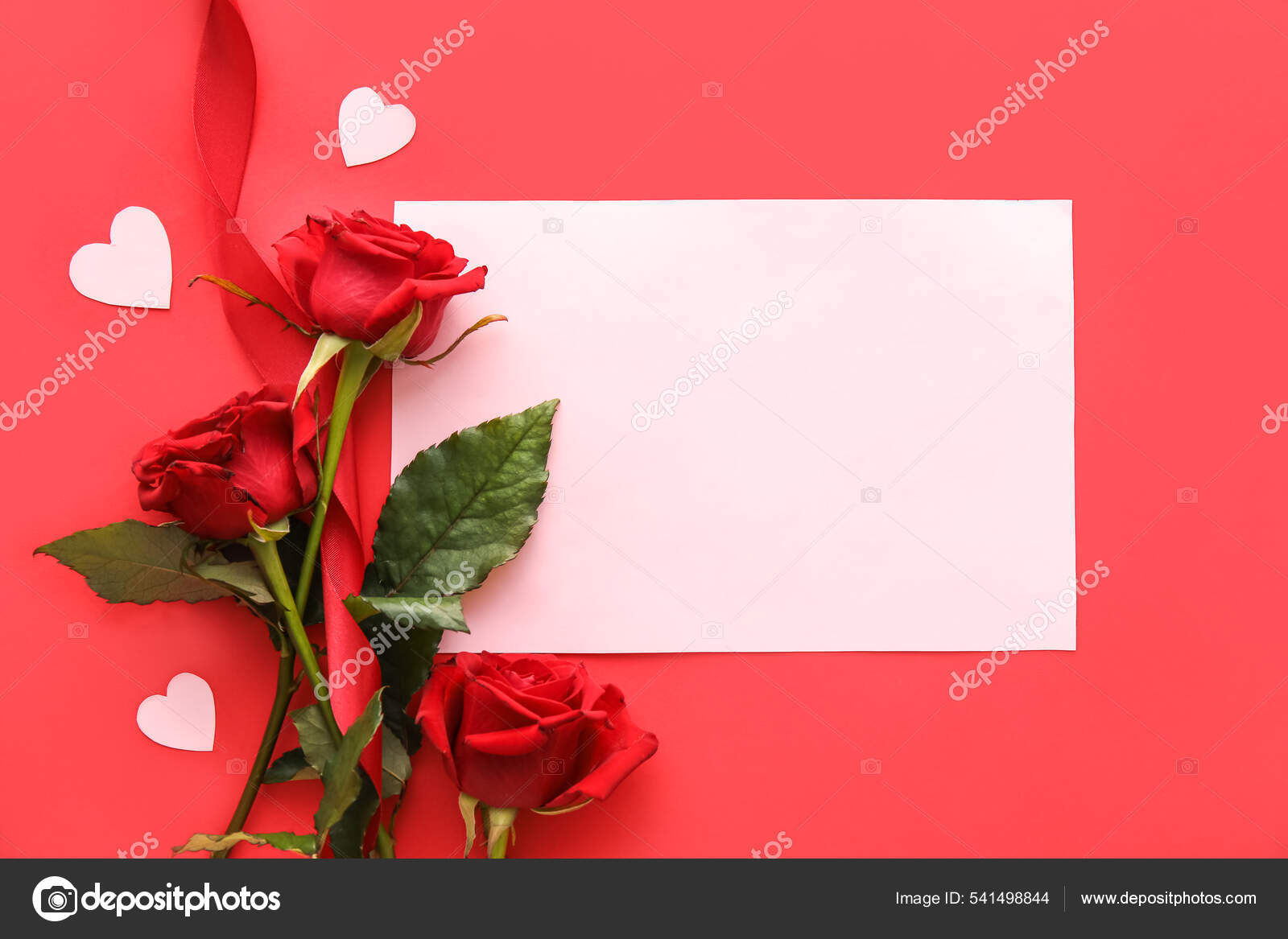 Beautiful Rose Flowers Background Images | Best Flower Site