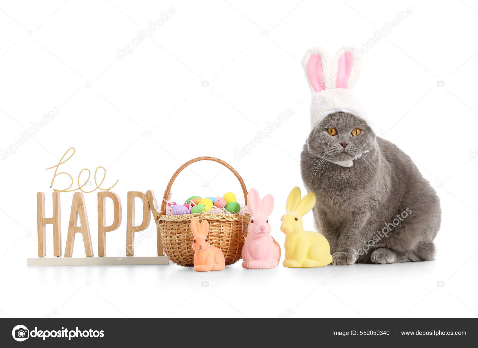 Cute Scottish Fold Cat Bunny Ears Easter Eggs Rabbits White — Stock ...