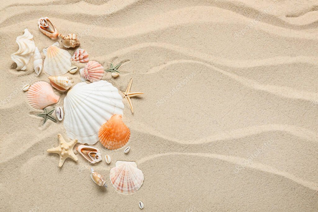 Muchas conchas marinas diferentes y estrellas de mar en la costa del ...