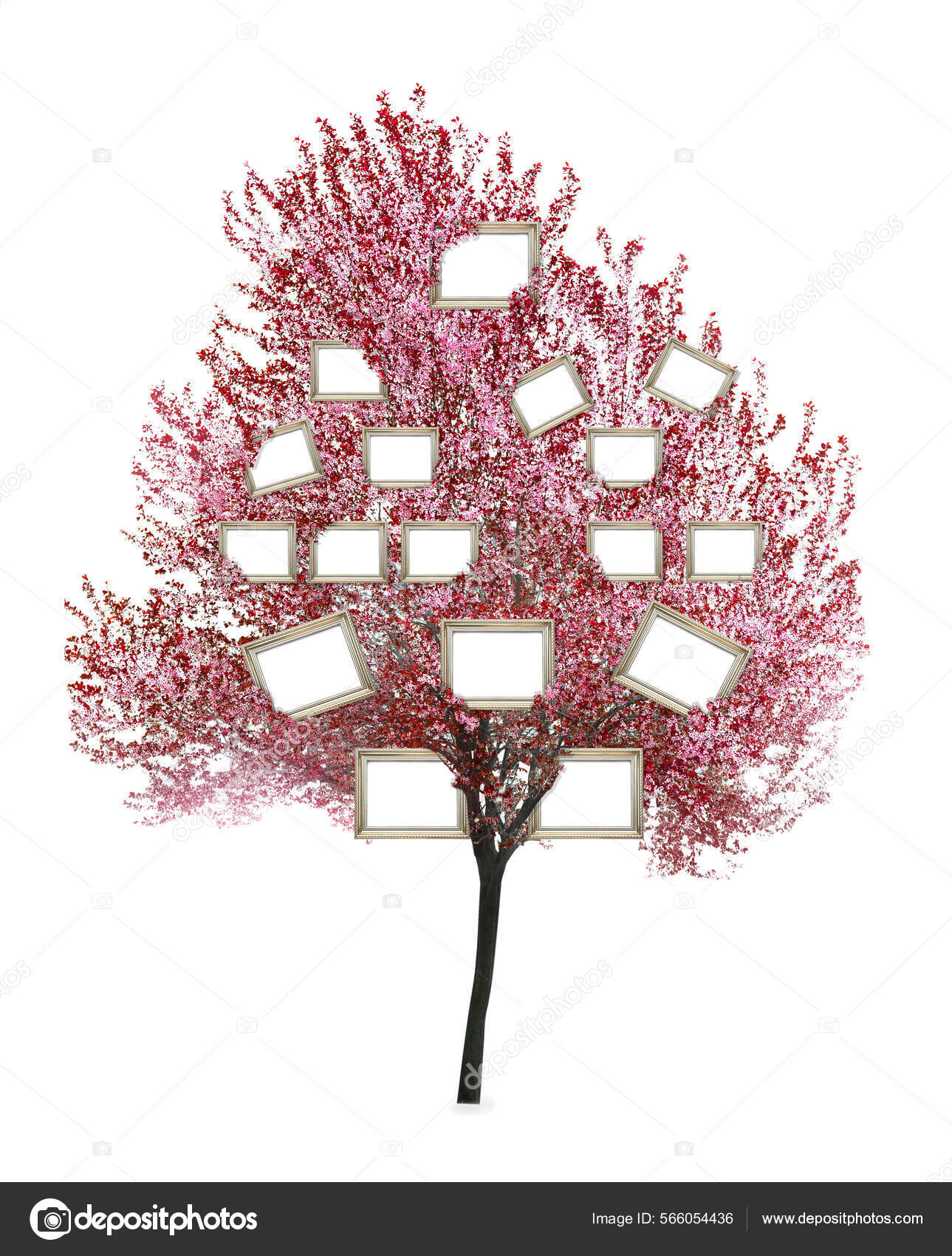 Blooming Tree Blank Photo Frames Isolated White Mockup Family Tree ...