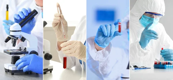 Laboratorio clinico collage Stock Photos, Royalty Free Laboratorio ...