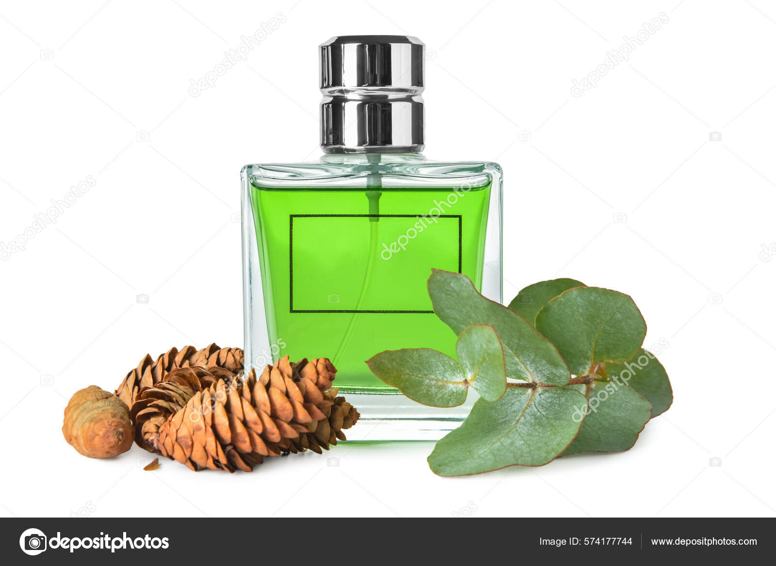 Bottle Aromatic Perfume Pine Cones Eucalyptus Branch White Background ...