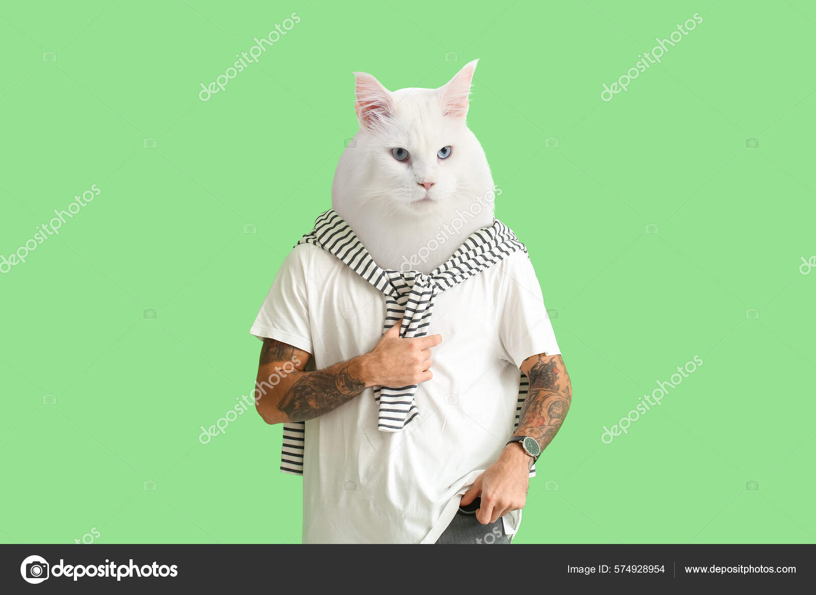 Cats With Human Bodies