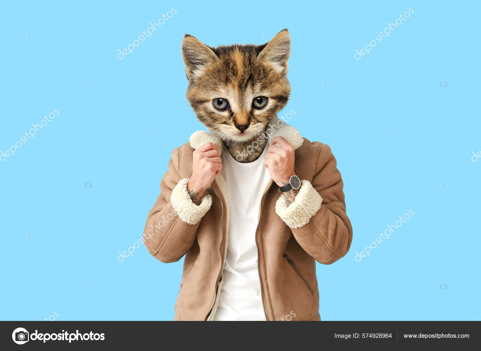 Cute Stylish Cat Human Body Light Blue Background Stock Illustration by ...