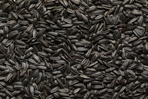 Black seed Stock Photos, Royalty Free Black seed Images | Depositphotos