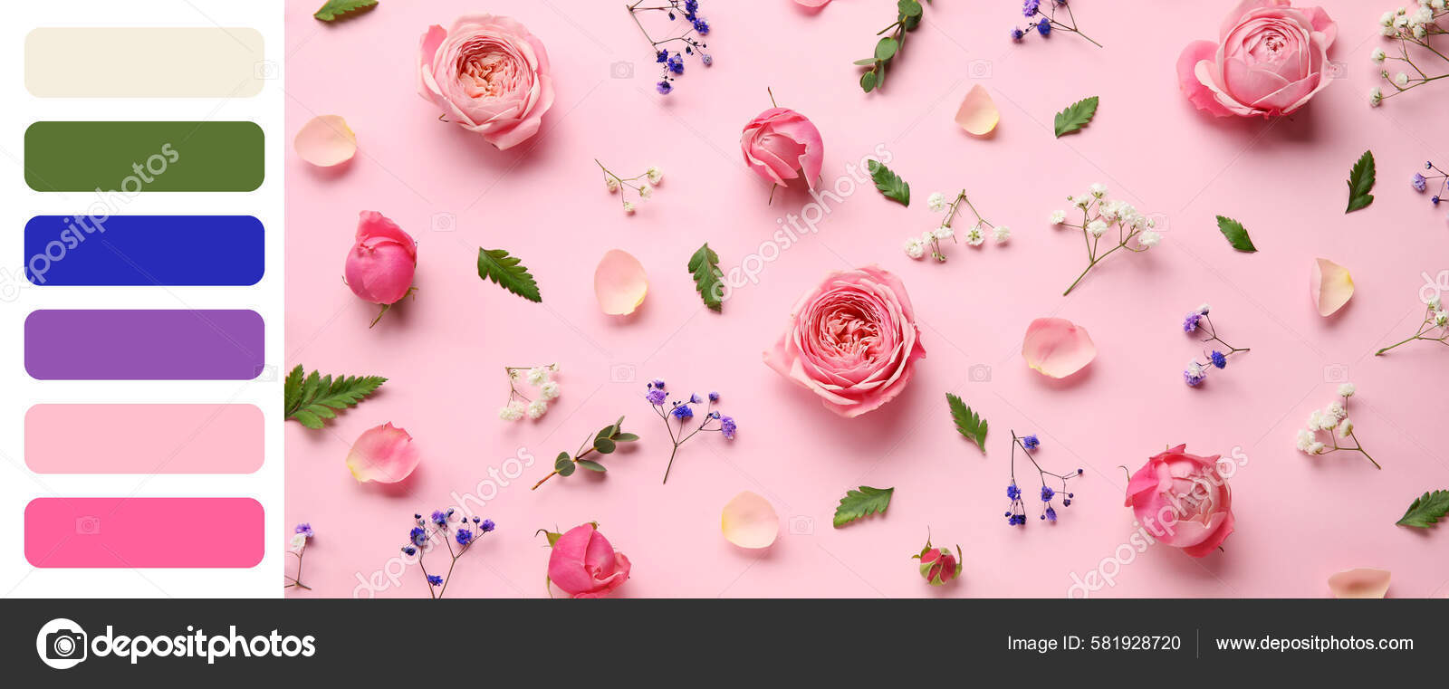 Composition Beautiful Flowers Pink Background Different Color Patterns ...