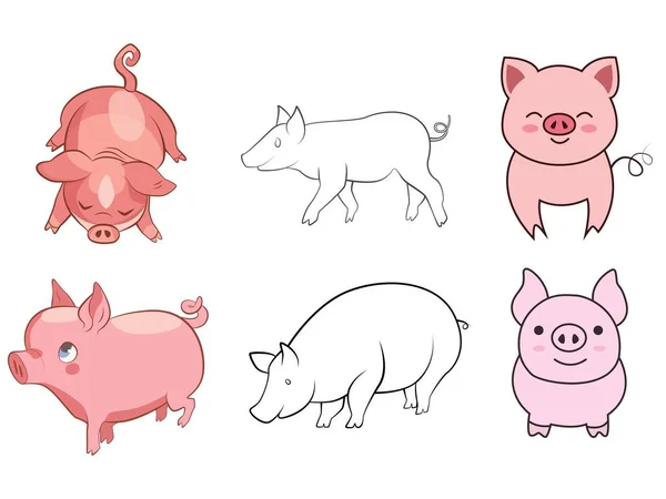 Pig Collage