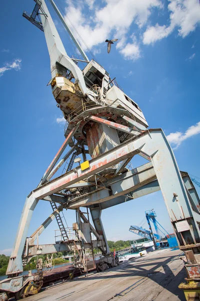 Damage embrace crane Stock Photos, Royalty Free Damage embrace crane ...