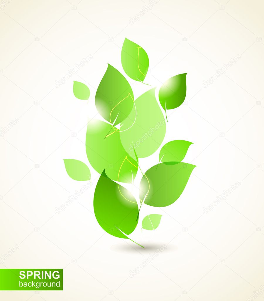 Spring background. Green leaves. Vector illustration. Stock Vector ...
