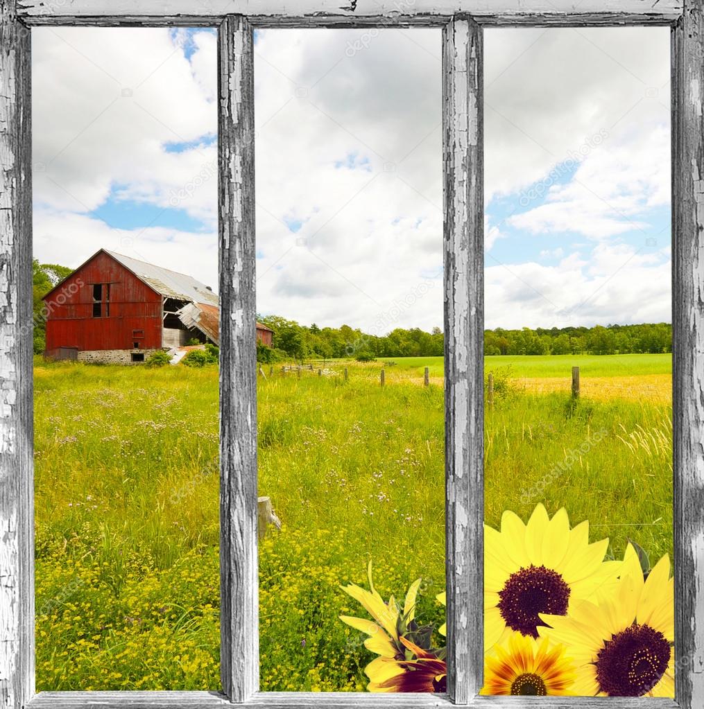 Vista al campo a través de una ventana vieja. 2024