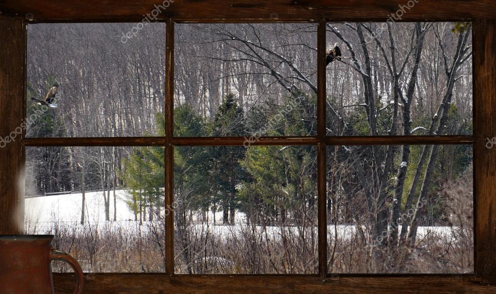 Winter lanscape through old window. Stock Photo by ©kellyplz 24791527