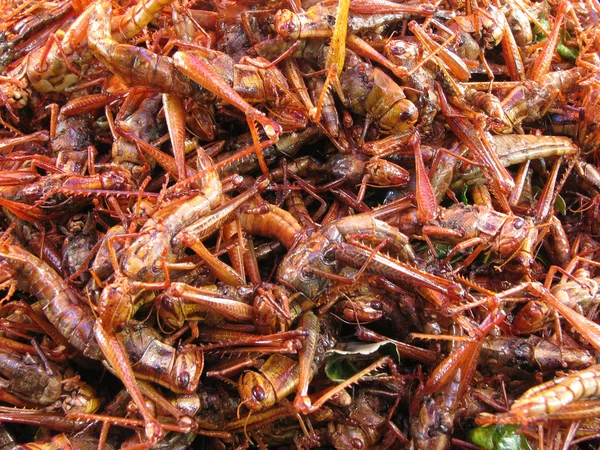 Gulf seafood Stock Photos, Royalty Free Gulf seafood Images | Depositphotos