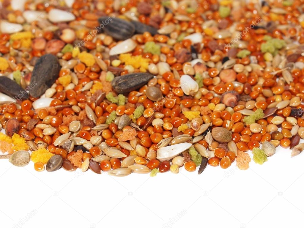 Montón de mezcla de semillas para aves. Alimento completo para Aves ...
