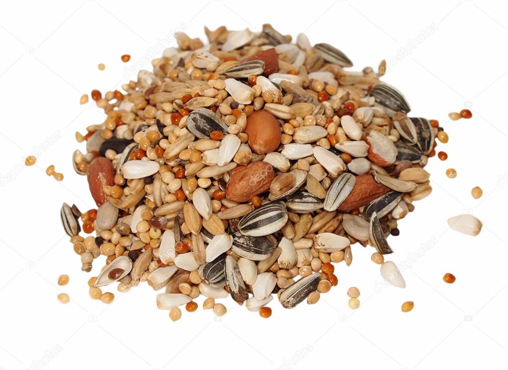 Pile of seed mixture for Big Parakeets, isolated on white — Stock Photo ...