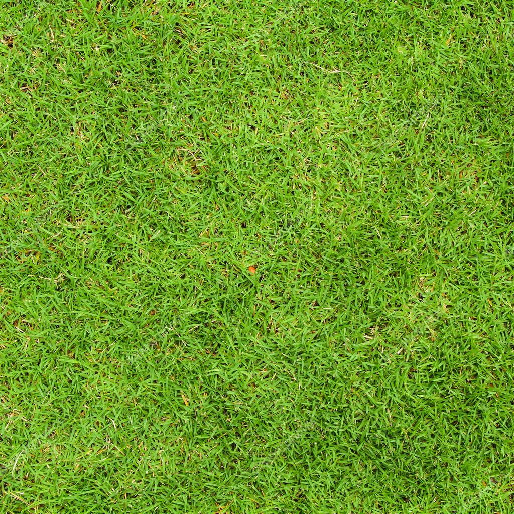 Fresh green grass top view Stock Photo by ©liewluck 36149173
