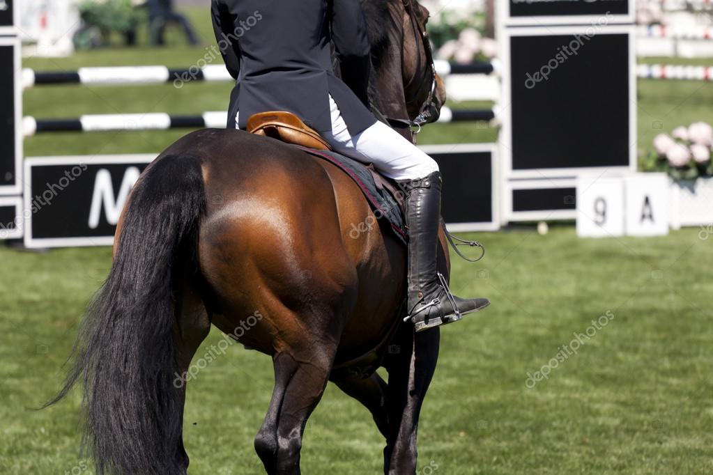 Rider on a high jump competition — Stock Photo © edu1971 #24277389