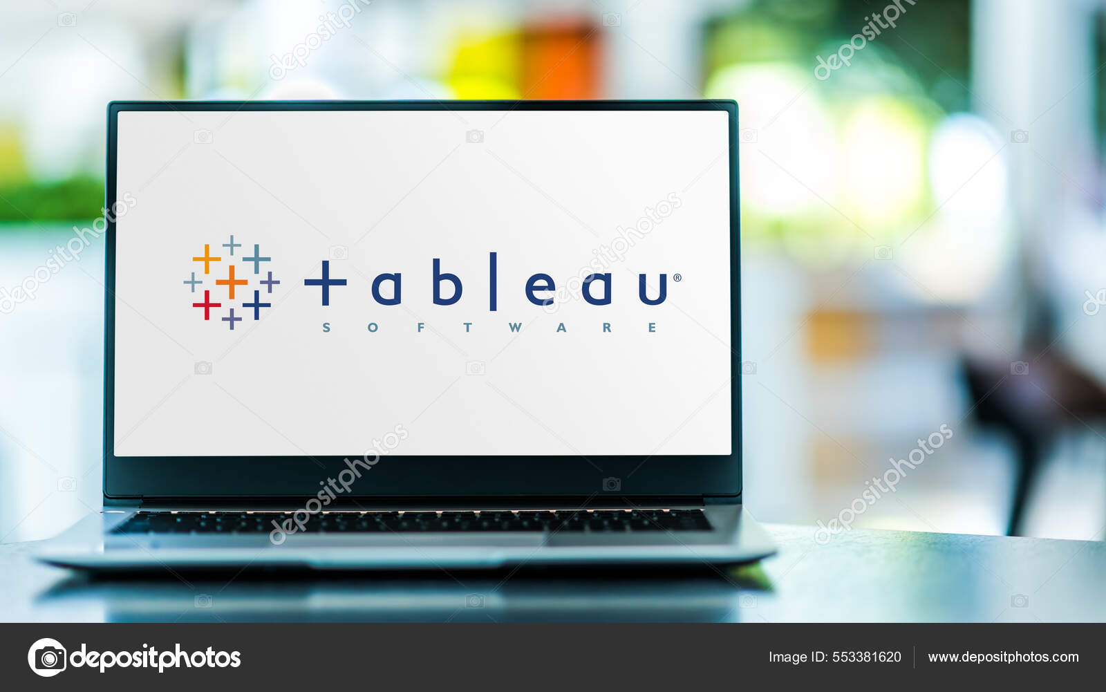Tableau Software Logo
