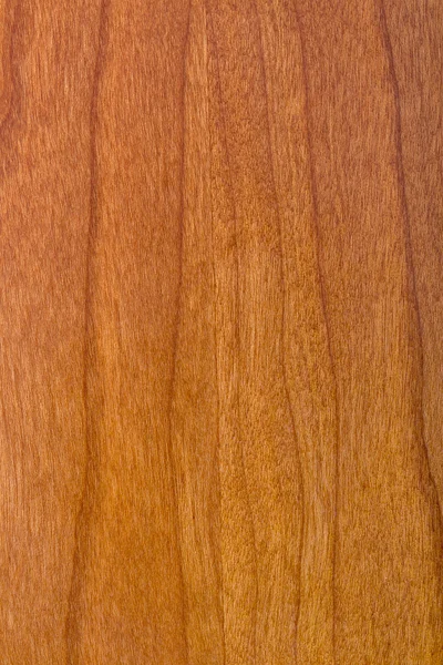 Laminated oak wood varnished — Stock Photo © KarSol #38892981