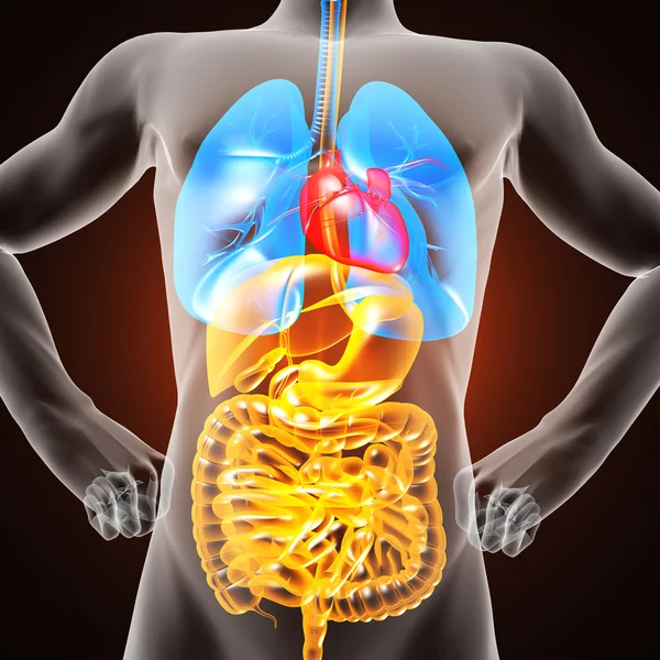 Inside hospital Stock Photos, Royalty Free Inside hospital Images ...