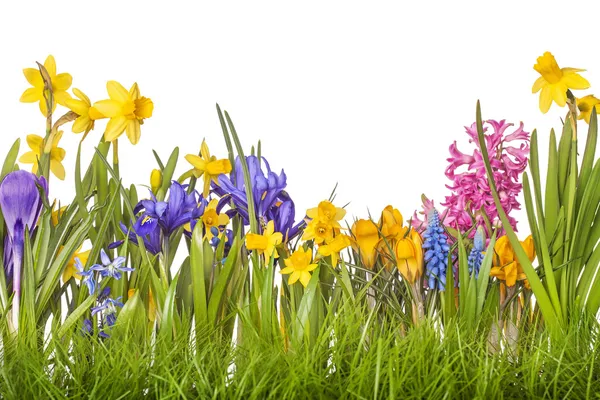 Pasto con flores fotos de stock, imágenes de Pasto con flores sin ...