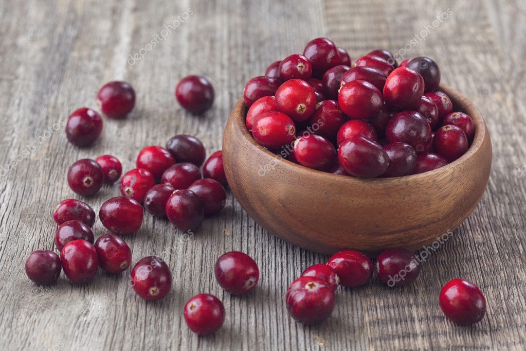 Cranberries — Stock Photo © Elena Schweitzer #33496925
