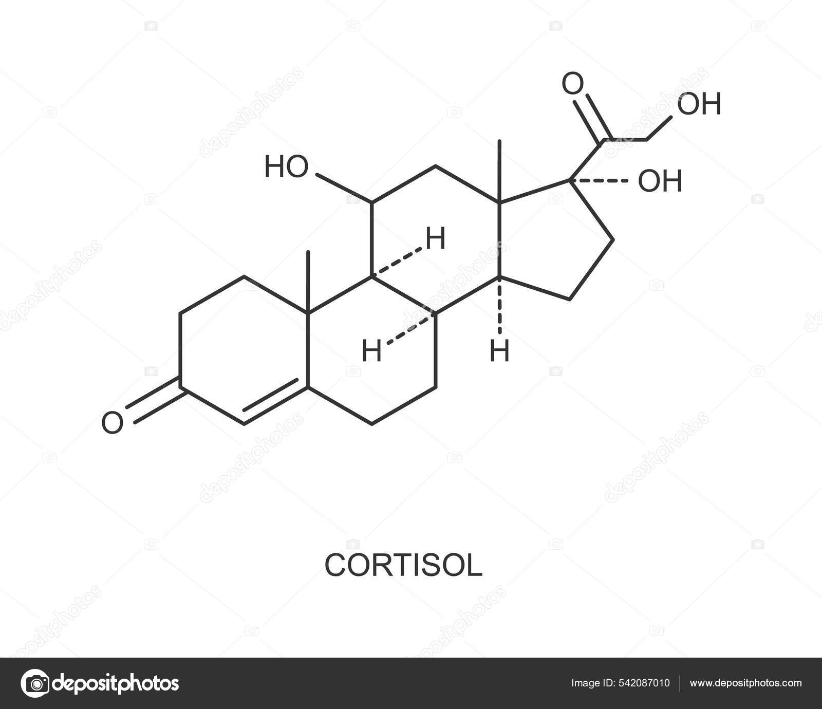 Cortisol Structure