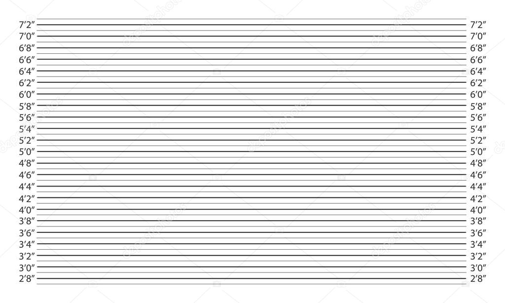 Police mugshot with inches height chart. Frame for photo of arrested ...