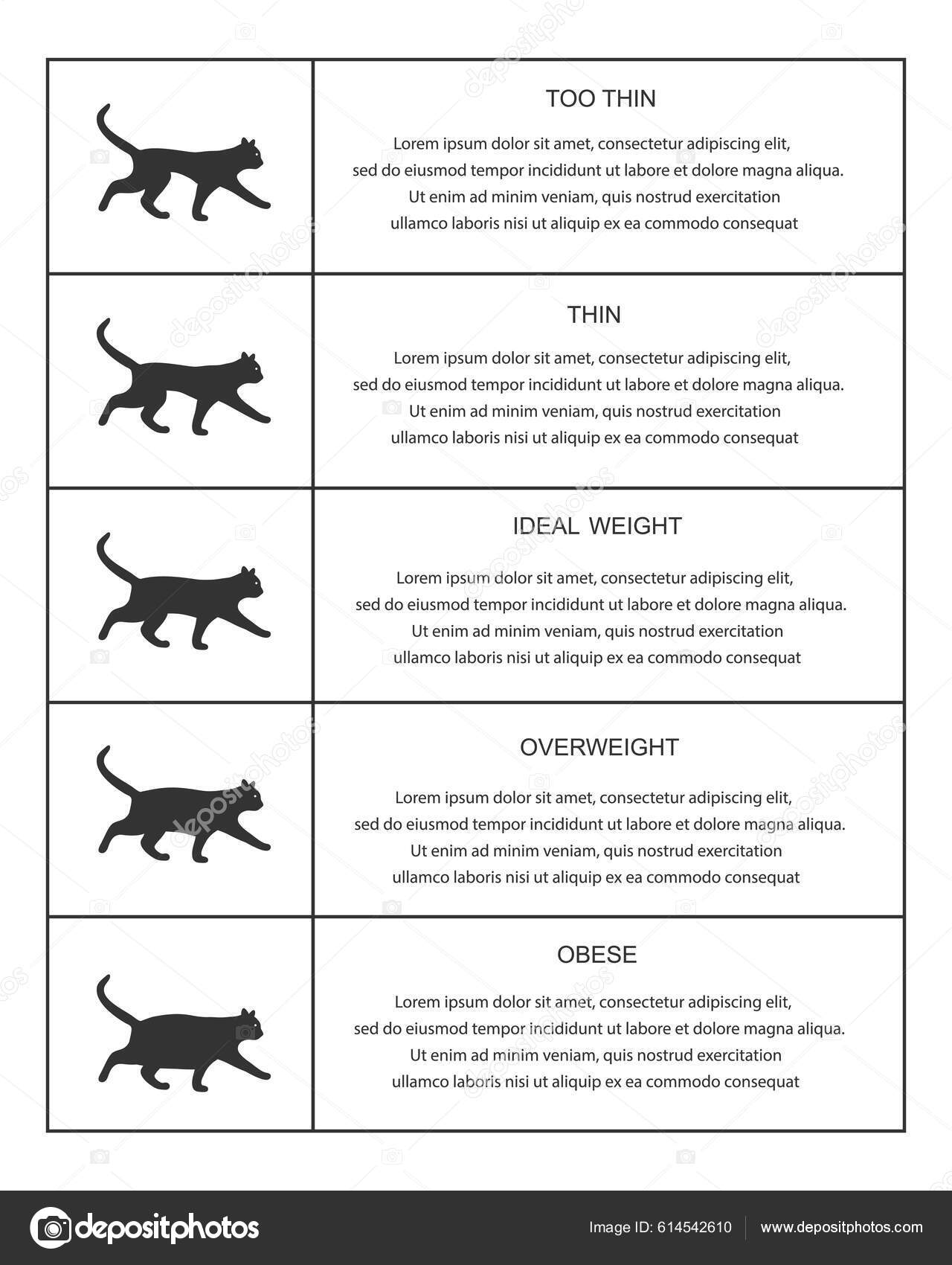Cat Weight Chart Infographic Table Kitties Silhouettes Normal Abnormal ...