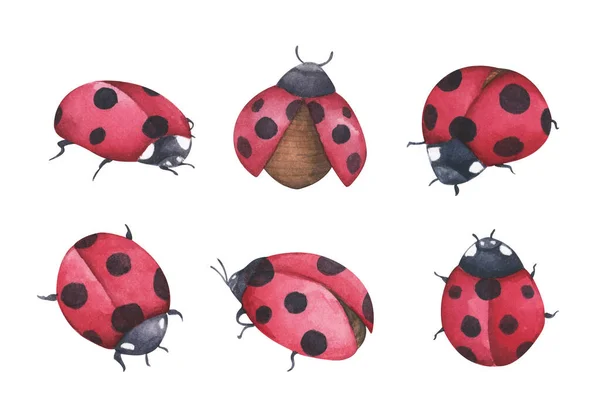 Ladybird clipart Stock Photos, Royalty Free Ladybird clipart Images ...