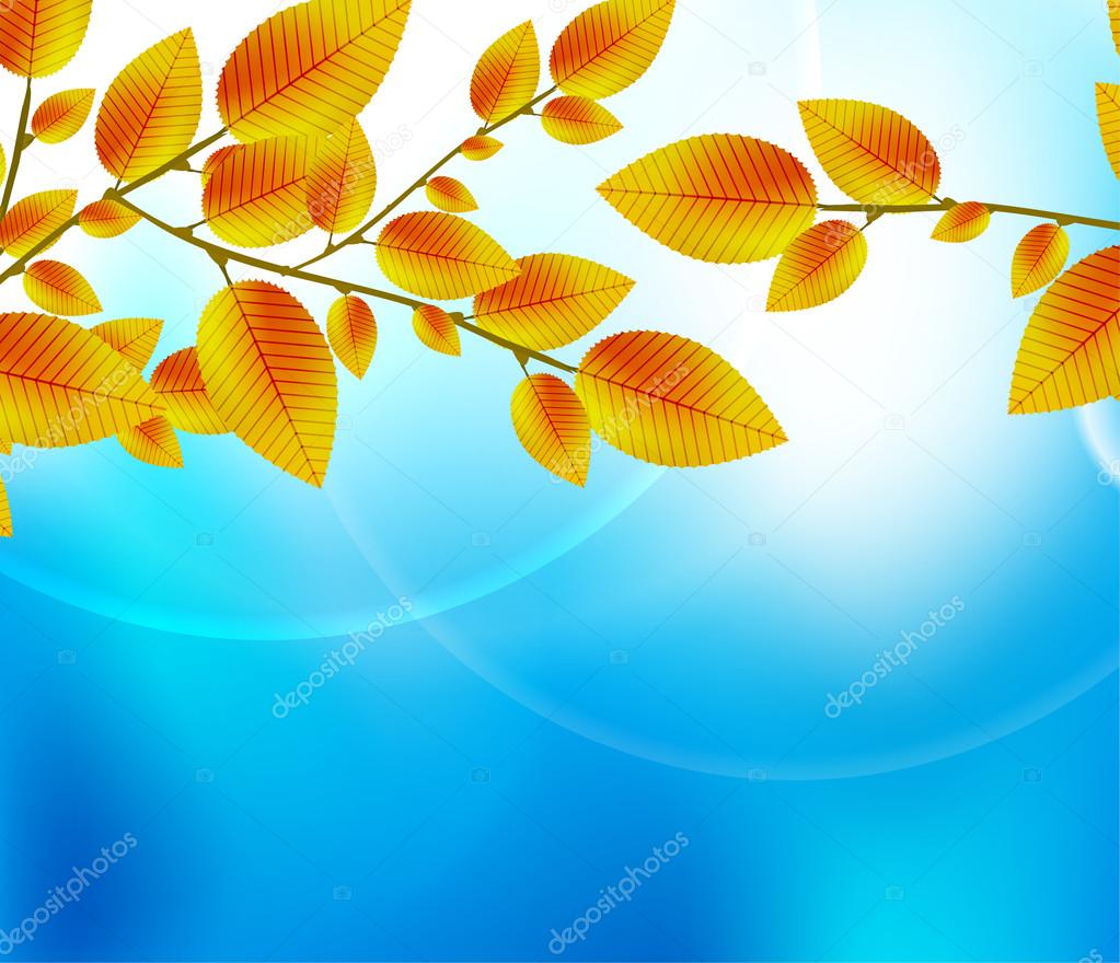 Autumn leaf background Stock Vector Image by ©akomov #13298322
