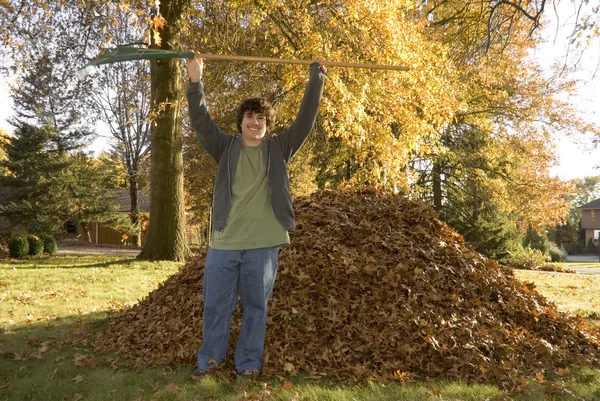 Raking leaves Stock Photos, Royalty Free Raking leaves Images ...