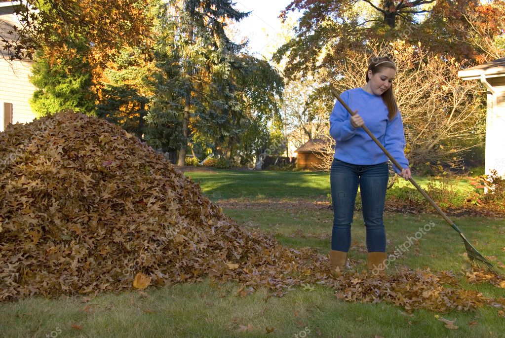 Raking Leaves Girl Next to Leaf Pile Stock Photo by ©saje 30127631