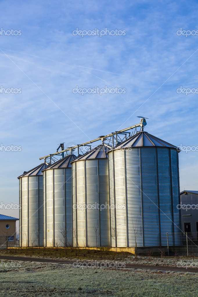 Field in harvest with silo — Stock Photo © Hackman #12807397