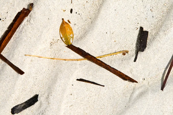 Remaining Stock Photos, Royalty Free Remaining Images | Depositphotos