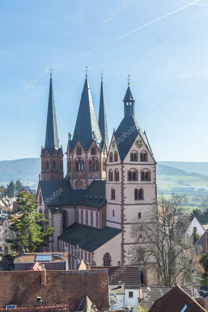 Flock of pigs in a bio farm — Stock Photo © Hackman #45248307