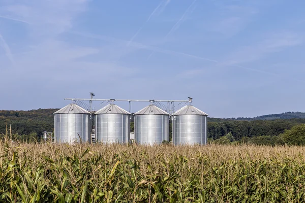 Four silver silos in corn field — Stock Photo © Hackman #13321705