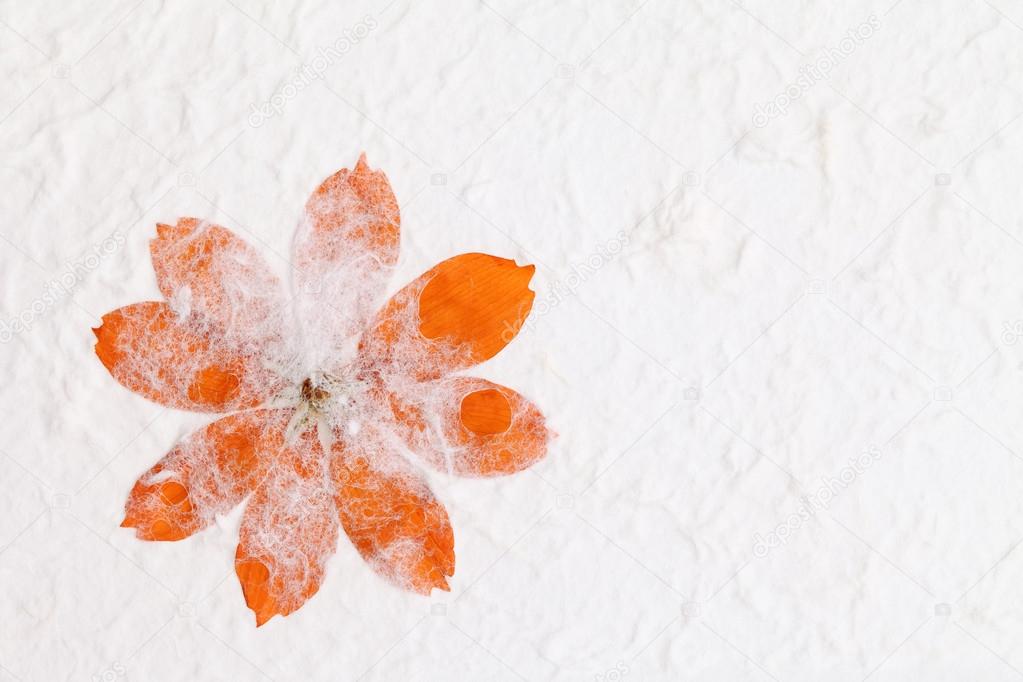 Handmade rice paper — Stock Photo © akiyoko74 #34922677